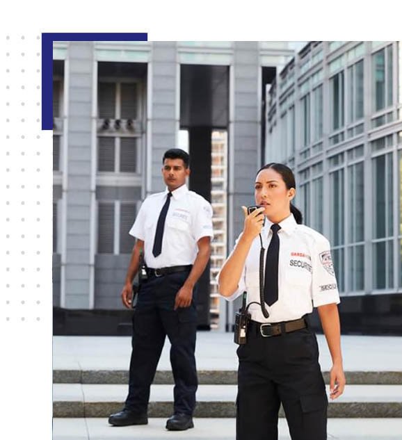 Public Security Service